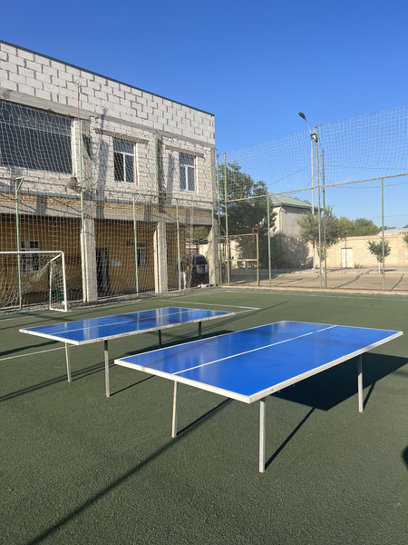 Stol tennis optom 2 ta qolgan