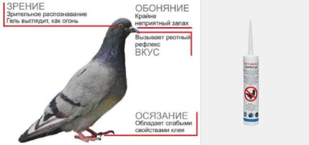 Кушларга карши гель