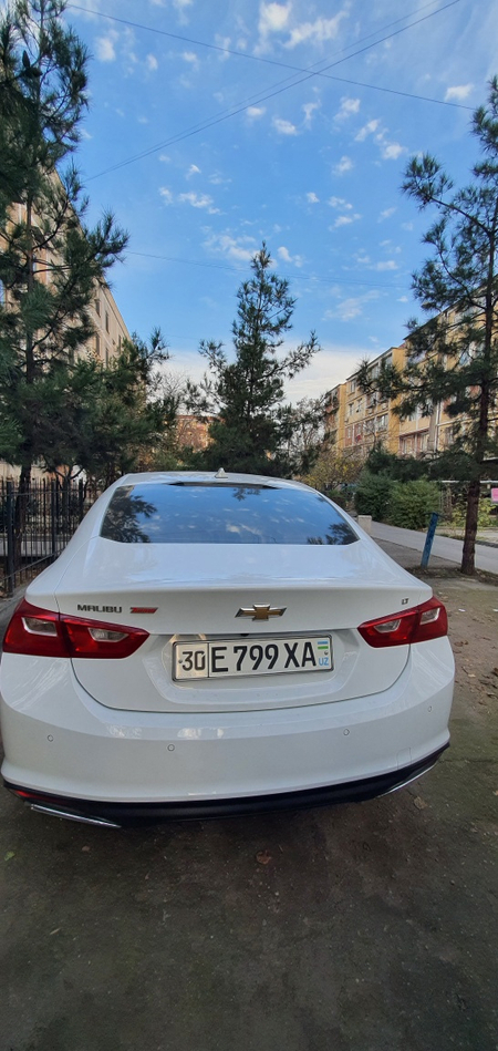 Malibu 2 2turbina 2019 tozza