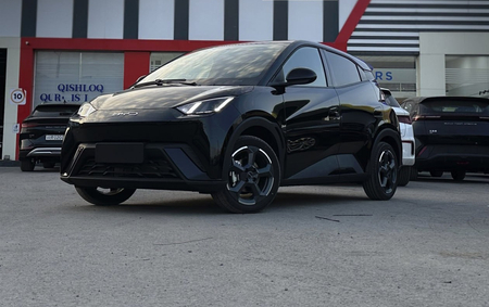 BYD seagul kafolati 1 yil