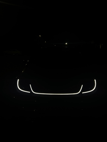 BYD Dolphin 2023