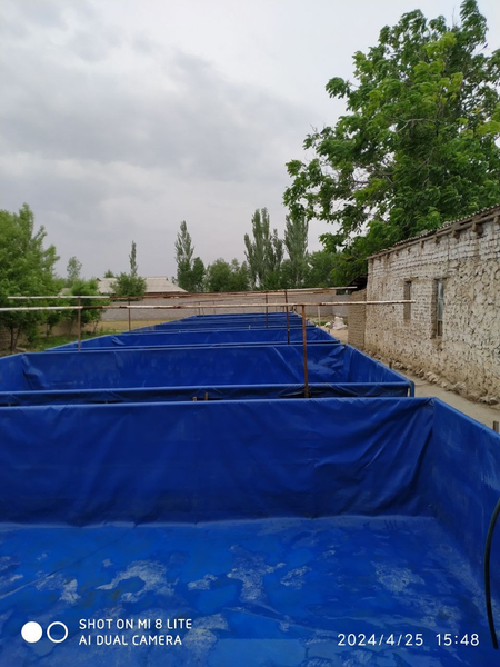 Baliq boqedigan akvaryun basen