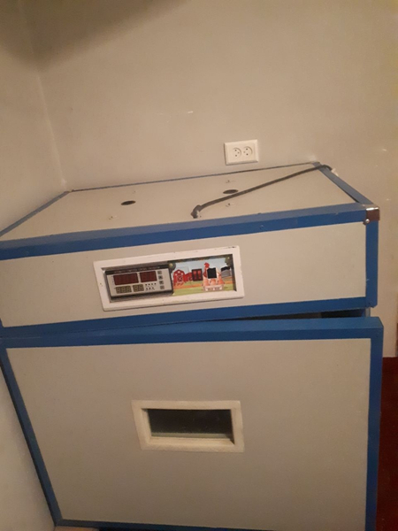 Inkubator sotiladi