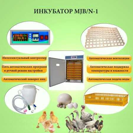 Инкубатор промышленный + выводной шкаф MJB/N-1