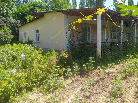Уй ховли сотилади 7 хонали.