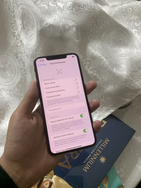 Iphone xs max 256tali idal