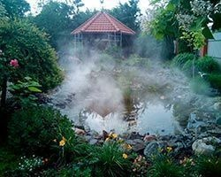 Микроклимат. Туман. Установка Микроклимата и туманообразователя