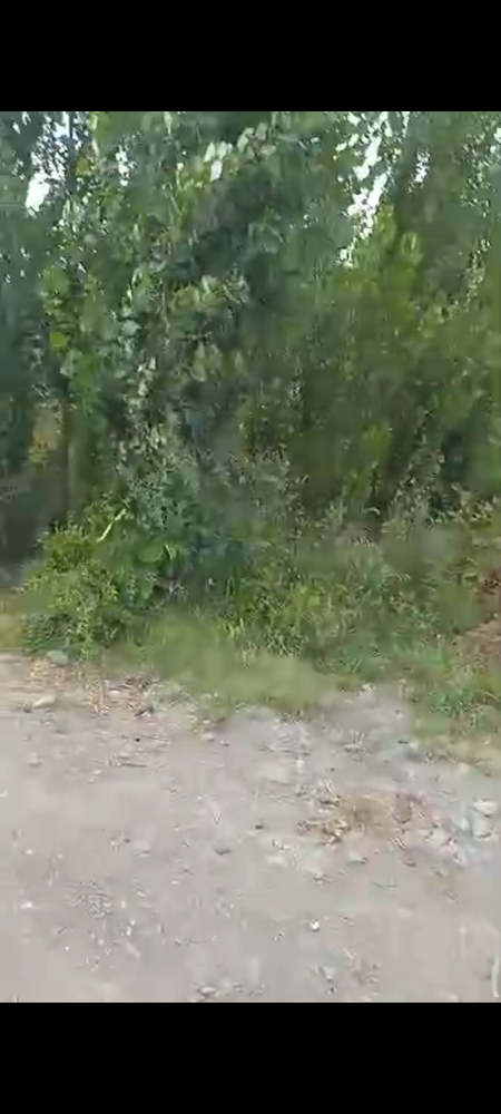Yer maydoni sotiladi
