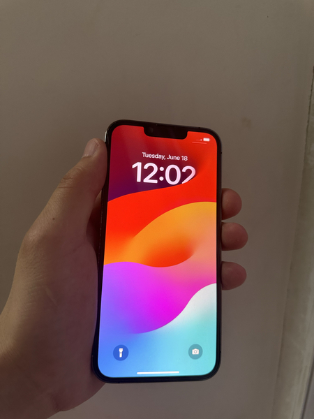 iPhone 13 Pro 100% Yomkst