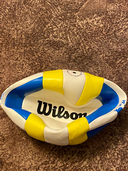 Волейбольный мяч Wilson для школьников