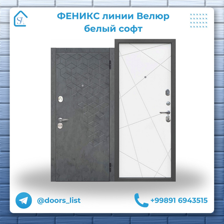 железная дверь, temir eshik + o'rnatish + dostavka