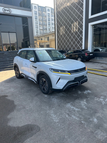 BYD Yuan Up 2024 dop opsiya