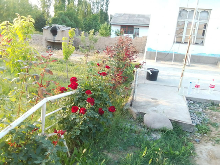 Hovli sotiladi 5.5 so'tihli