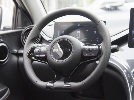 Byd e e2 luxury 2023