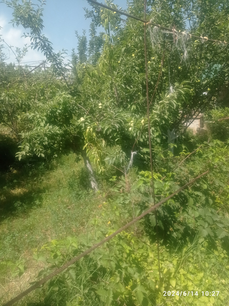 Продается дачный участок