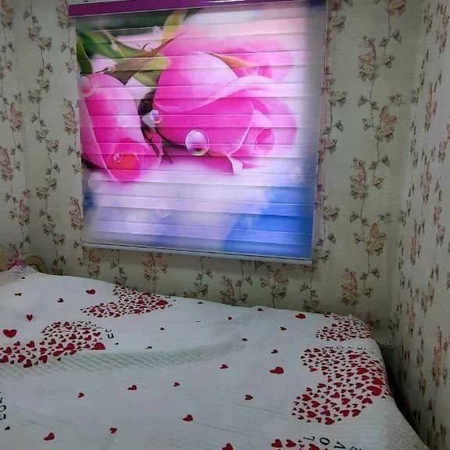 ЖАЛЮЗИ  и Елита пардалар