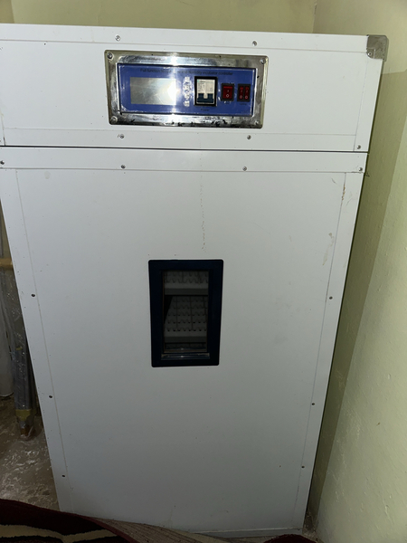 İnkubator  650 talik