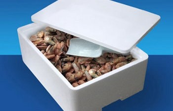 Yashik penoplast (termo kantinir)