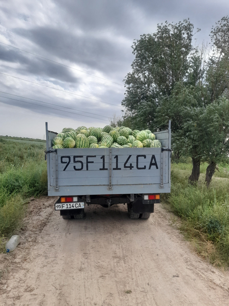 Gaz 53 yuk bartavoy