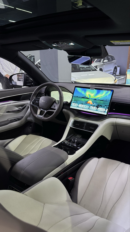 Byd song chempion 2025