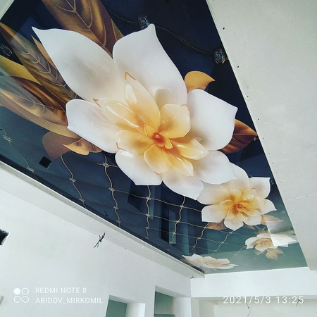 Натежной паталок