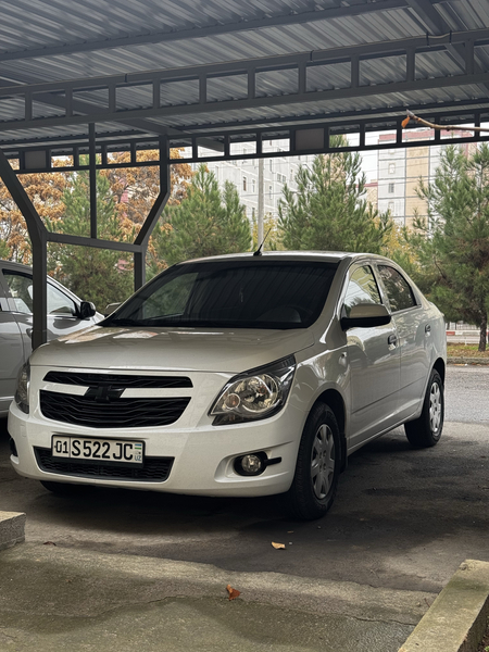 Cobalt mexanika kraska toza