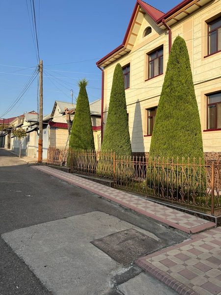 Газон екиш, Арча кесиш, дорилаш хизмати 30 000
