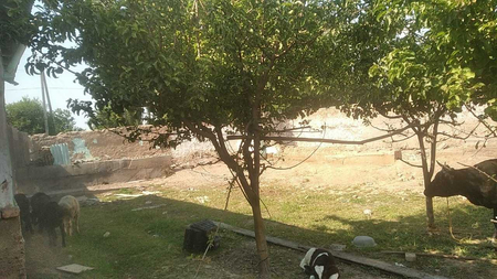 Yer sotiladi (dokoni bilan)