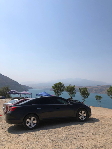 Malibu 1 1 позиция