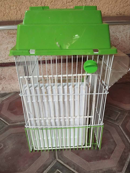 Qushlar uchun qafas Yangi!