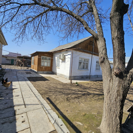 Сирдарё шахрида 4 хонали уй сотилади