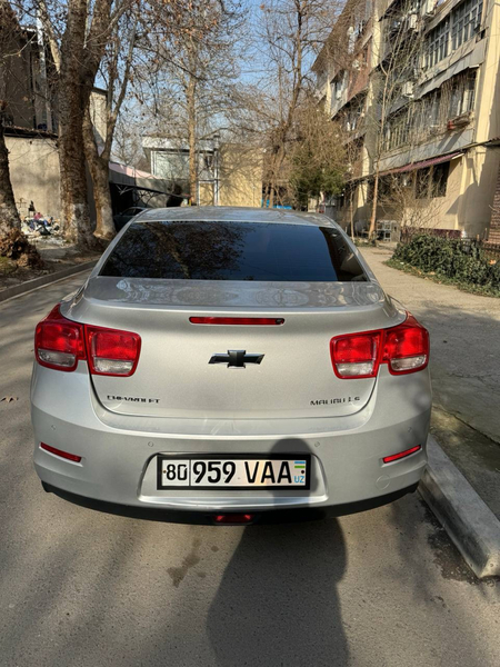 Malibu 1/1-pozitsiya