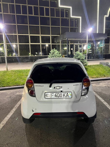 Spark   Yili   2011  probegi  255000  min