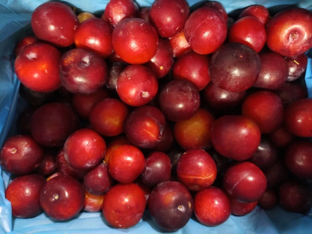 Чернослив замороженный