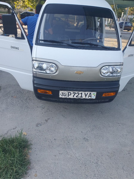 Damas 2019 radnoy kraska
