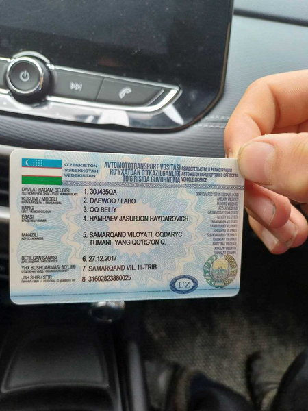 Корейский лабо 2013