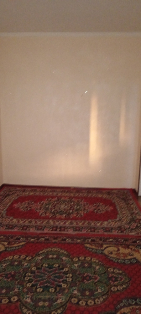 1 xonalik 40 kvadrat sotiladi Kogonda
