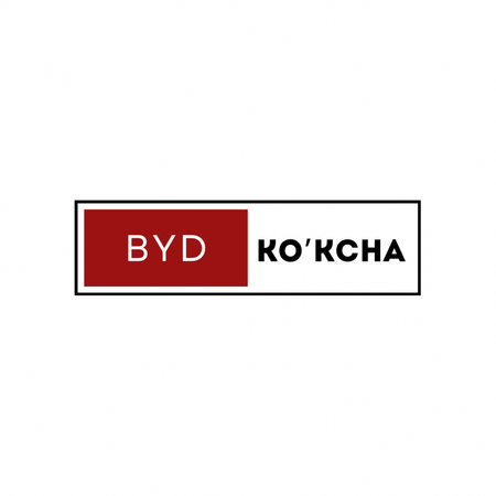 Багаж полик для Byd E2 от «BYDKO\\\'KCHA»