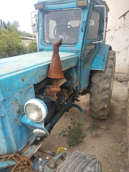 Prsepi bor setkali