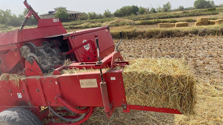 Zed 511 prespadborchik