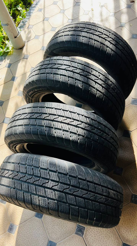 Cobalt shina Кобальт шина Windforce Catchfors A/S