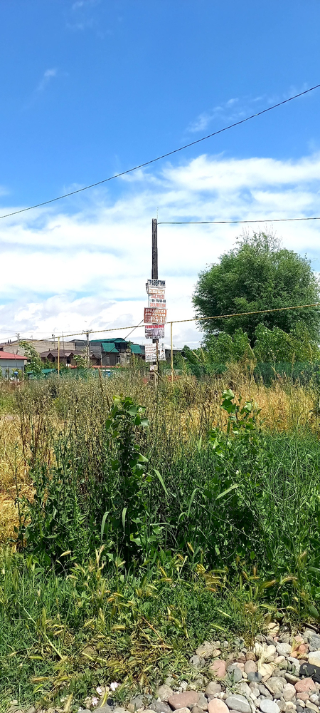 Сергели 6.5 соток у трассы угловая