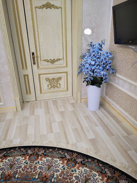 Ko’k gulli katta tuvakda 150sm li orxideyamizdan bor.