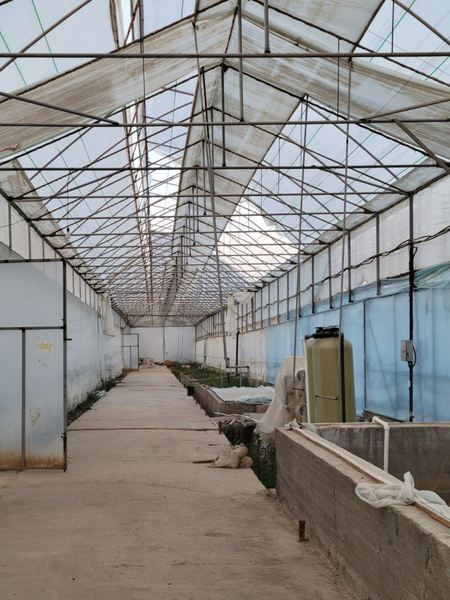 Продается парник 2 гек адрес  сентр коровул бозор