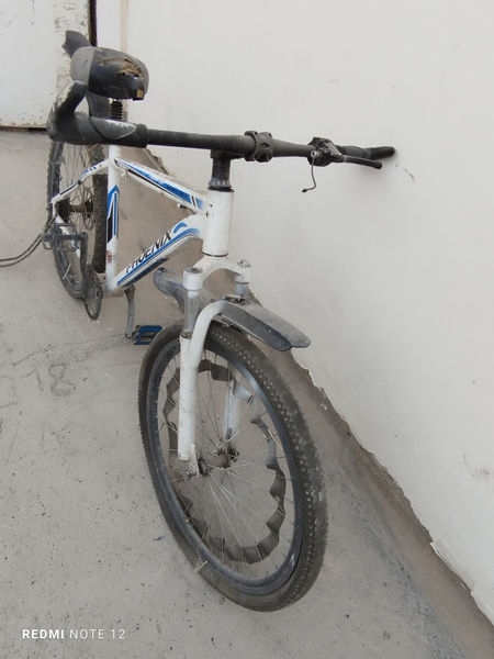 Velosipedlarkotalar uchun