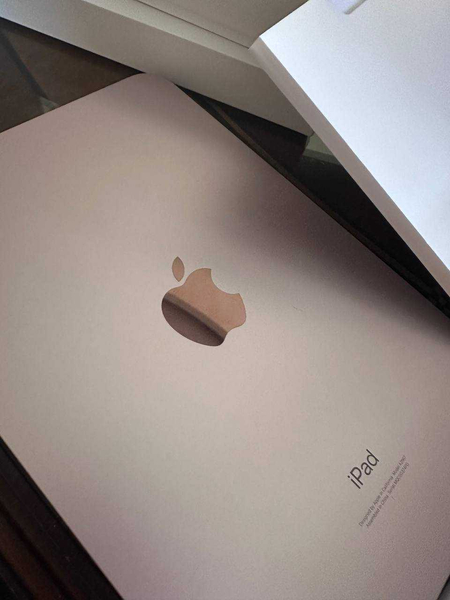 iPad mini pink 258 gb