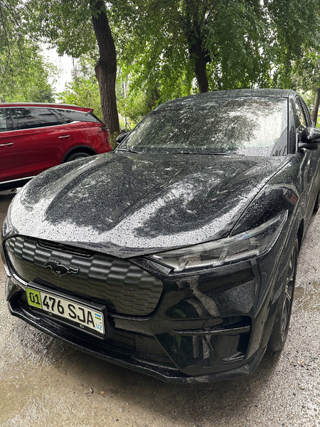 RENT A CAR! Elektro Cars! Byd Volkswagen Mustang
