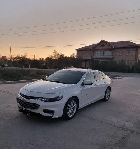 Malibu 2 primier 2020