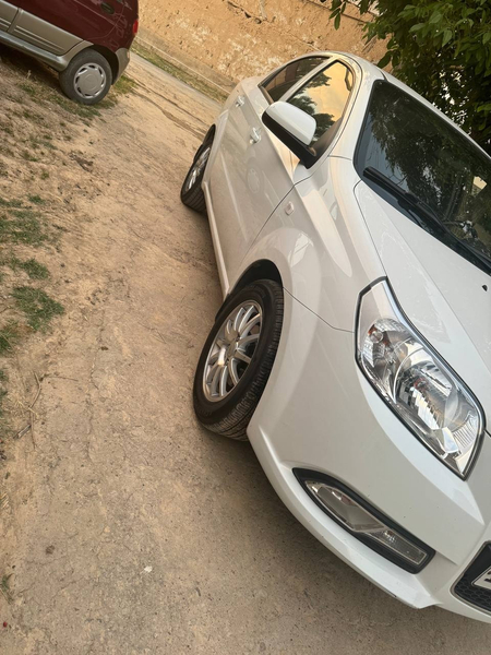 Optra dikkayengi