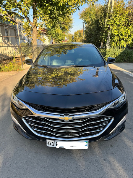 Malibu 2 primer 2020